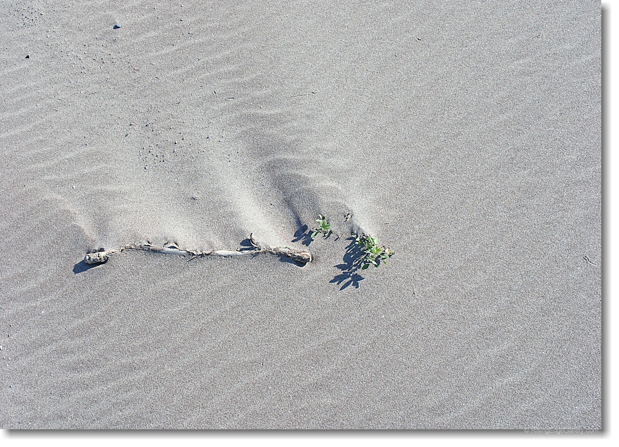 Full Screen - Grainy Picture